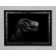 Bright Star T-Rex In The Dark - Single Picture Frame Art Prints ...