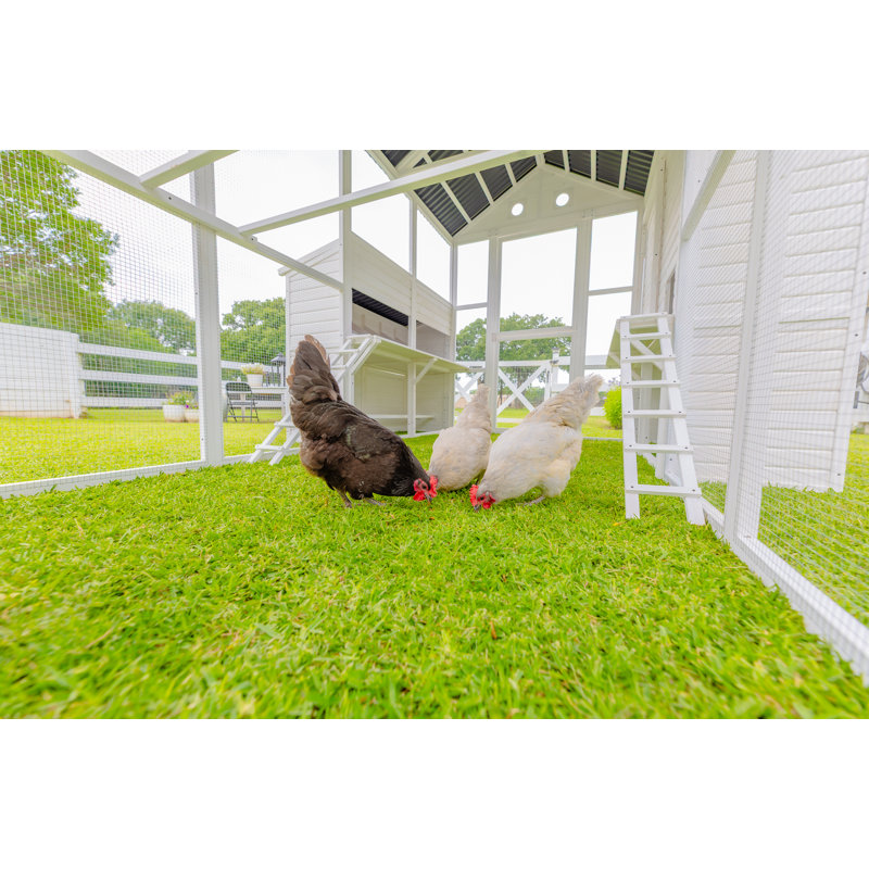 Zylina Modern Countryside Chicken Coop | Wayfair