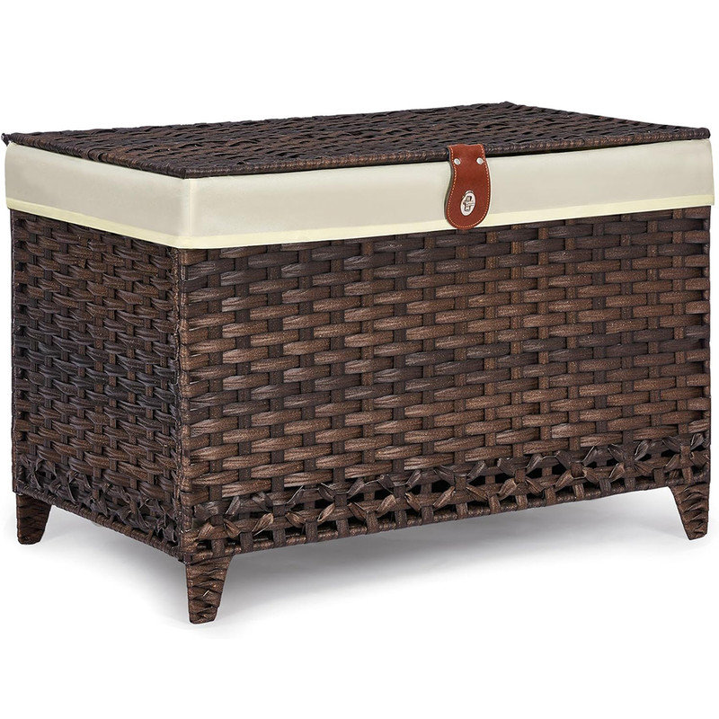 Latitude Run® Storage Trunk with Heightened Feet - Wayfair Canada