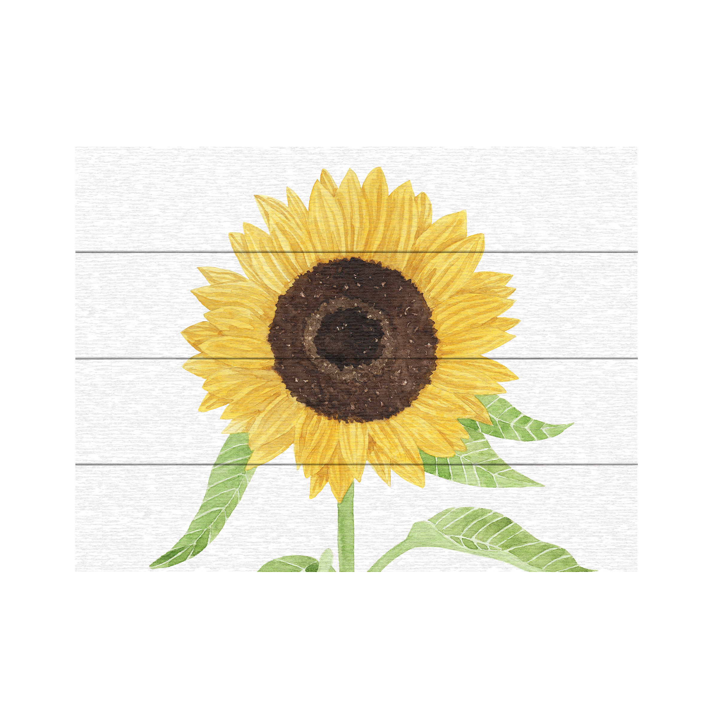 Winston Porter Sarah Frances Sunflower Wood Slat Art - Wayfair Canada