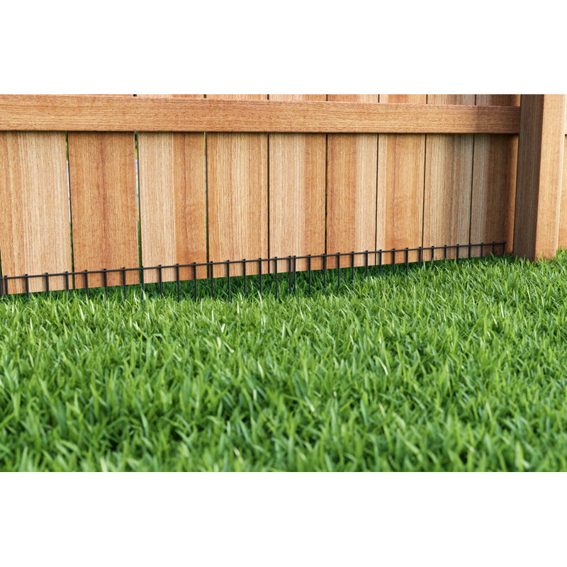 Dig Defence Small/Med Animal Barrier Black - 10 pack & Reviews | Wayfair