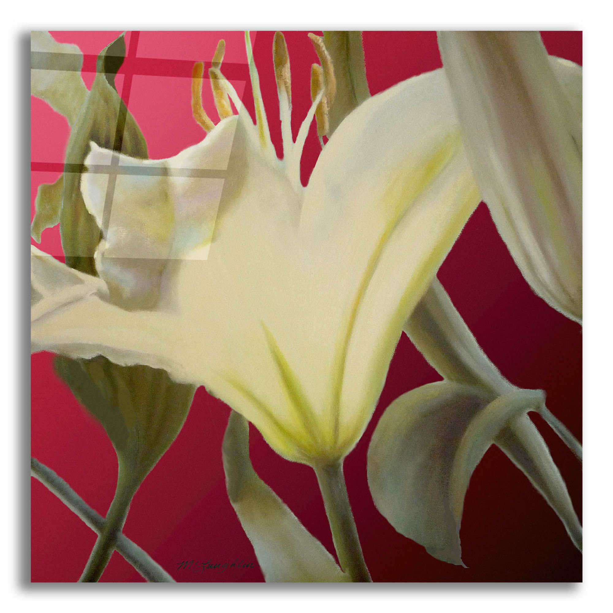 Red Barrel Studio 'Lily Red' By Jan Mclaughlin, Acrylic Glass Wall Art ...