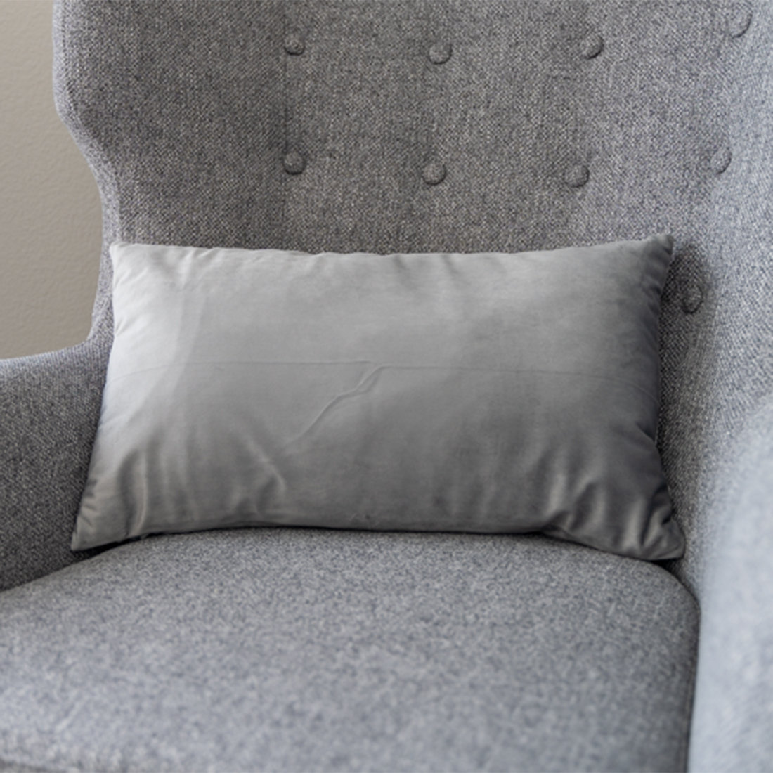 Beauty Acrylic (Covers Only) Set of 2 Flat Rectangular Velvet Pillow ...