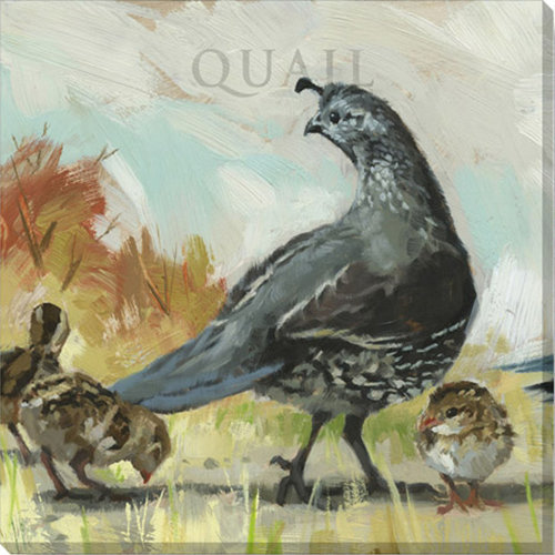 Quail - Wayfair Canada