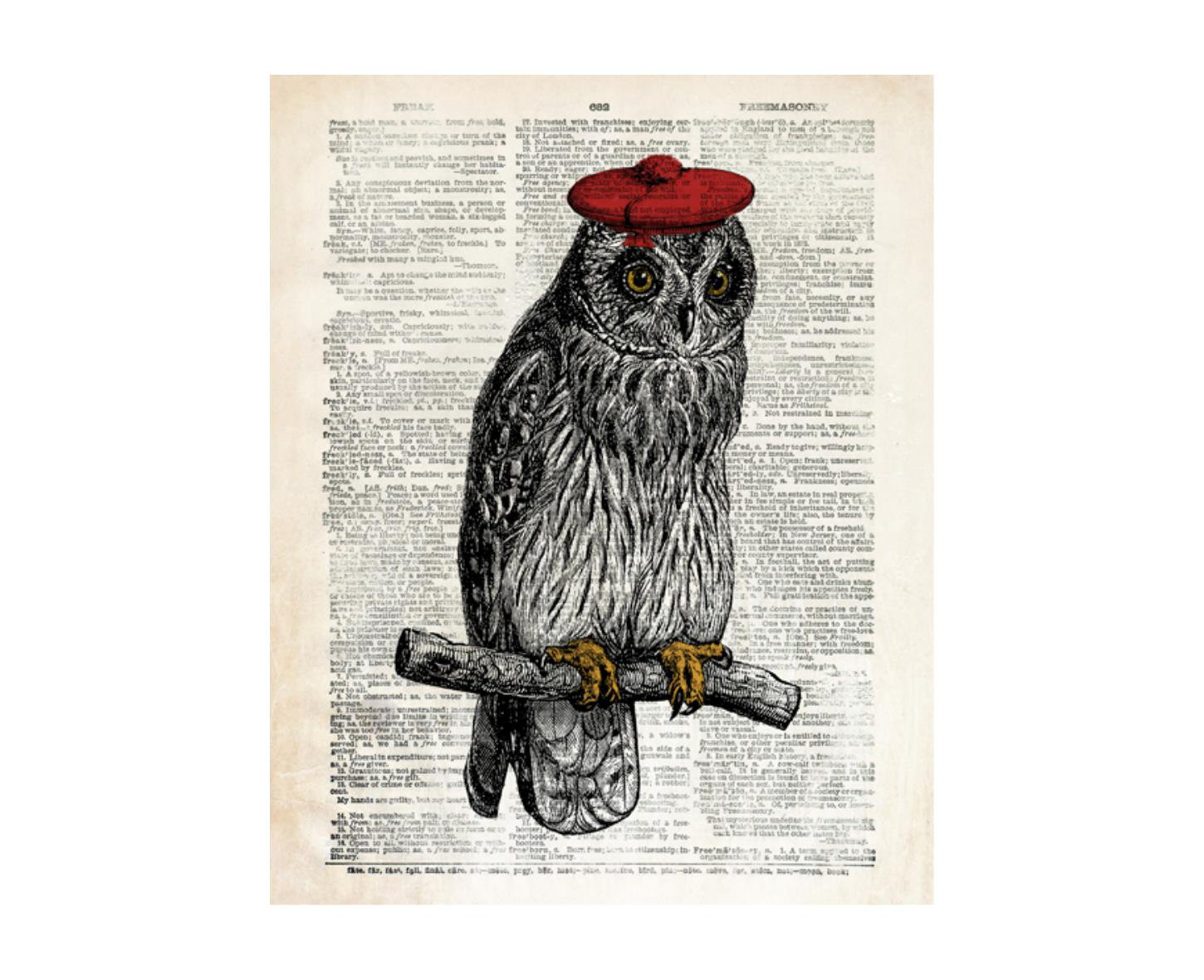 Chelsea Art Studio Hipster Owl by Michelle Bennett - Graphic Art Print ...