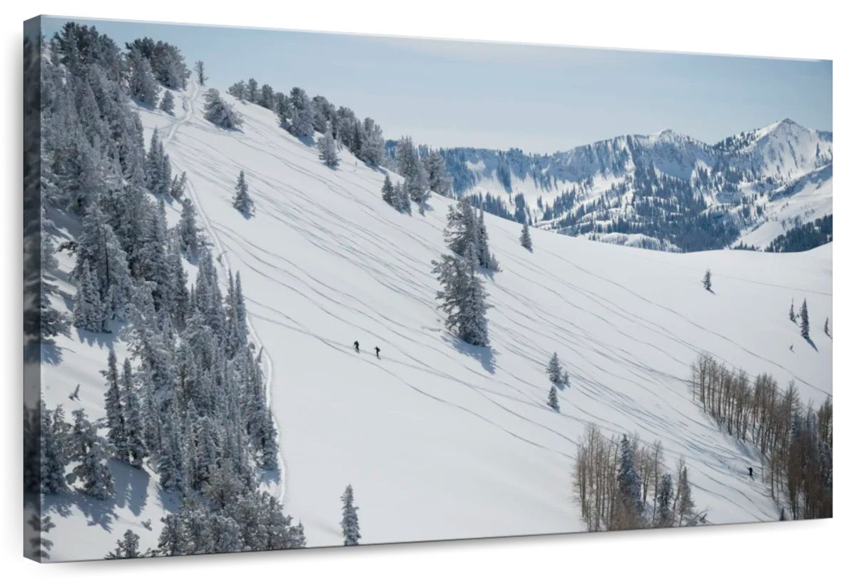Millwood Pines Alvord Wasatch Mountain Skiing | Wayfair