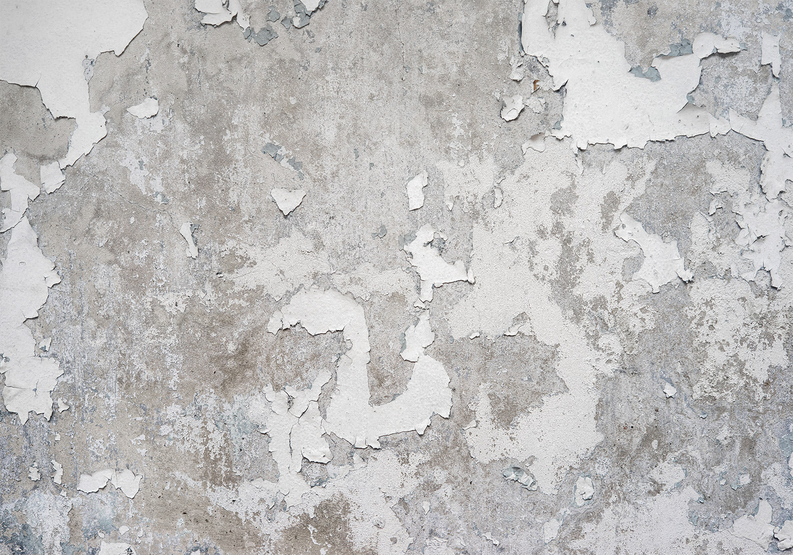 17 Stories Peel & Stick Wall Mural - Old Peeling Wall | Wayfair