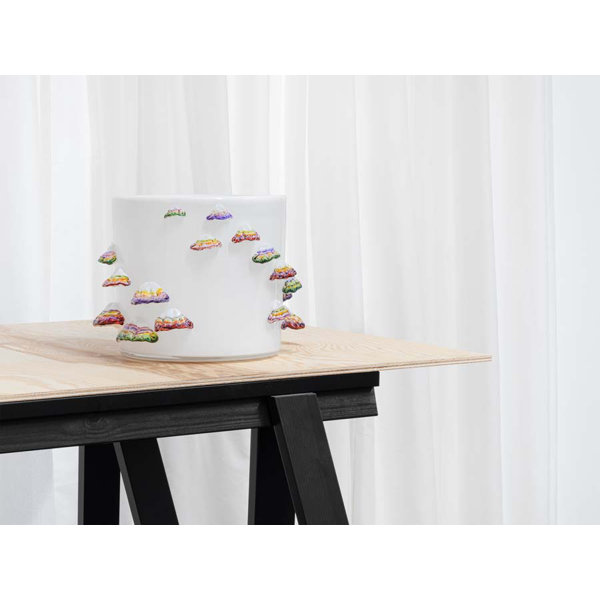 Kosta Boda Ticka | Wayfair