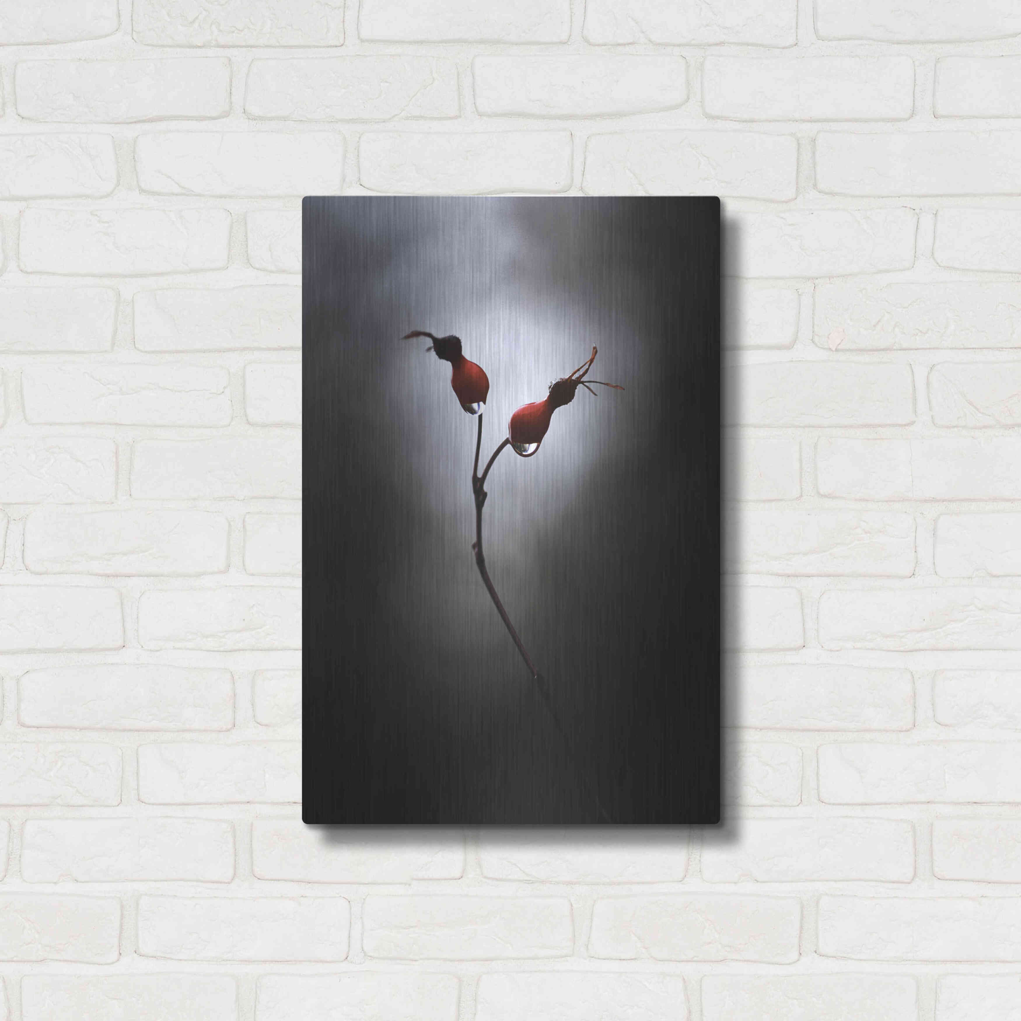 Red Barrel Studio 'Rose Hips' By Thomas Haney, Metal Wall Art - Wayfair ...