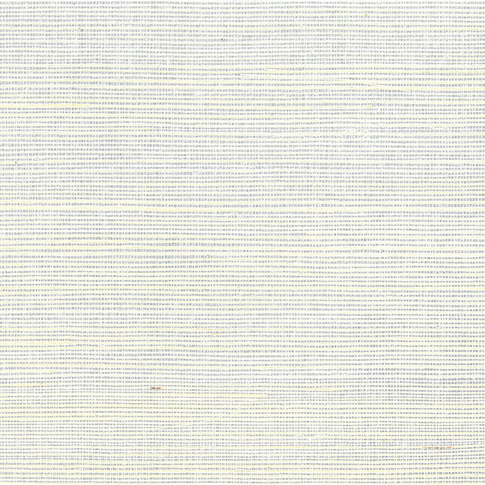 Highland Dunes Payton Grass Cloth Roll | Wayfair