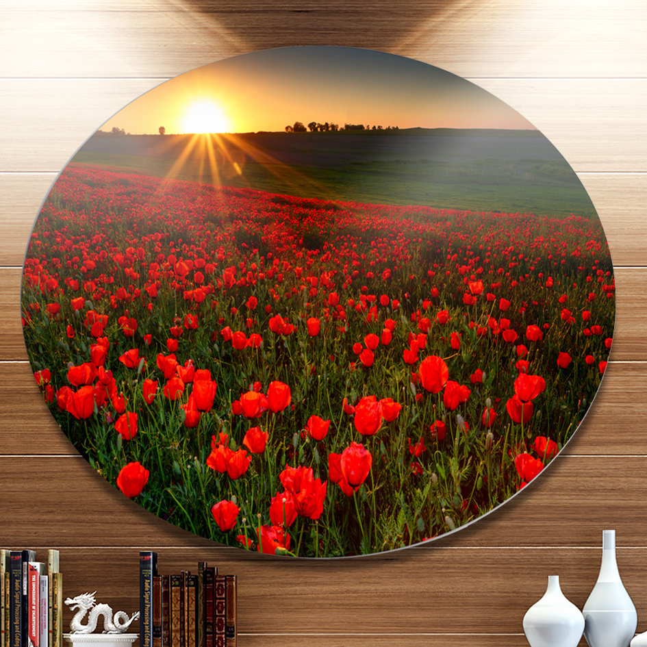 Design Art 'Sunset over Garden with Red Poppies' Photographic Print on ...