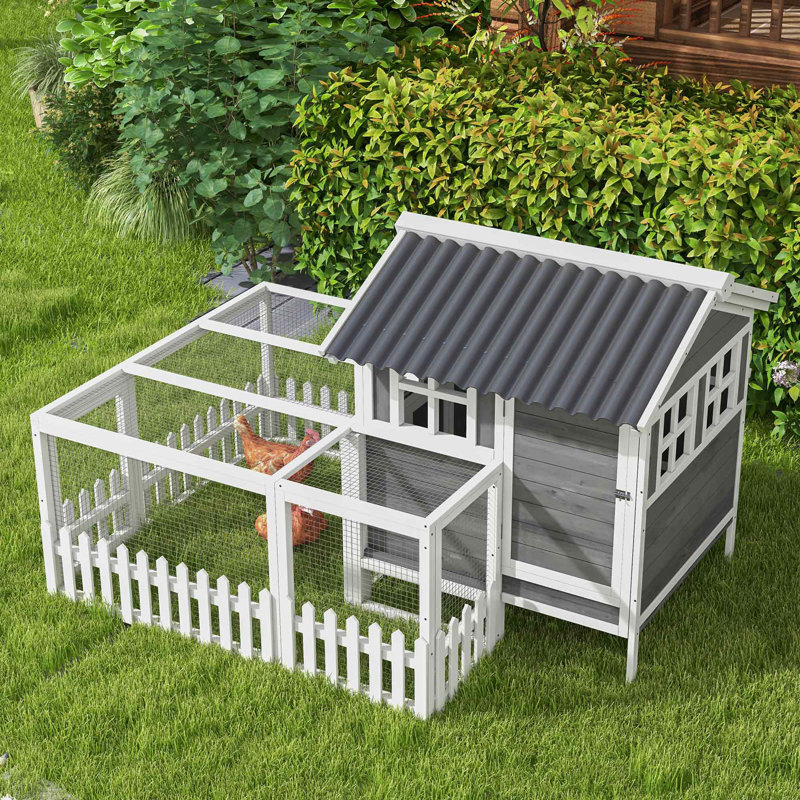 Tucker Murphy Pet™ Demecia 27.64 Square Feet Chicken Coop with Chicken ...
