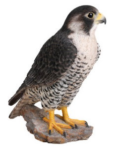 Hi-Line Gift Ltd. Peregrine Falcon Statue & Reviews | Wayfair