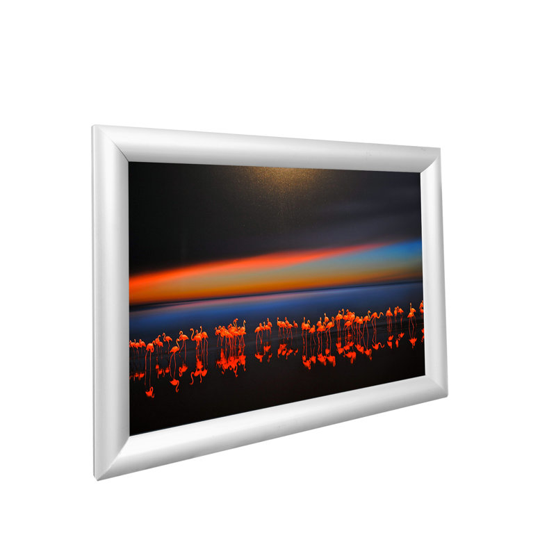 FixtureDisplays Frame, Wall or Poll Mount Poster/Picture Snap Silver ...