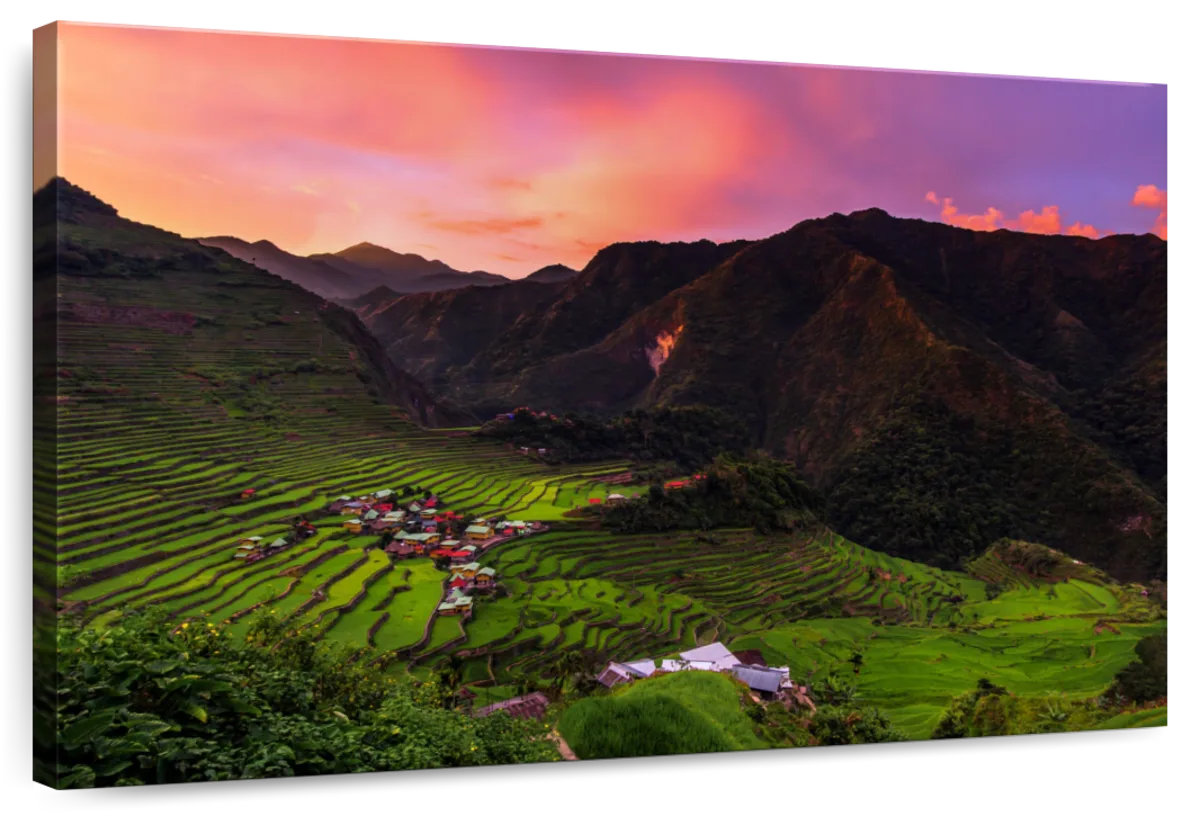 Millwood Pines Alvord Batad Rice Terraces Sunset | Wayfair