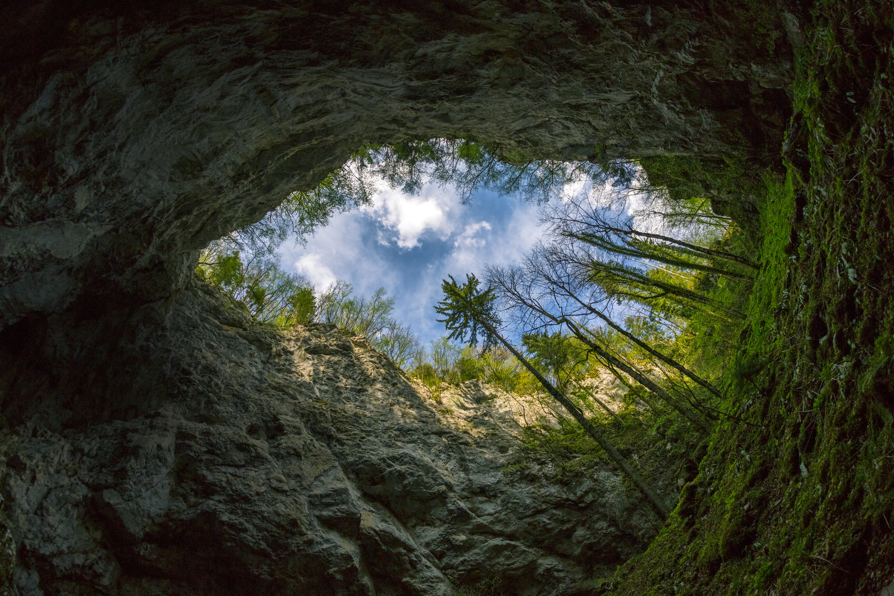 Millwood Pines Skocjan Caves, Slovenia by Gremlin | Wayfair