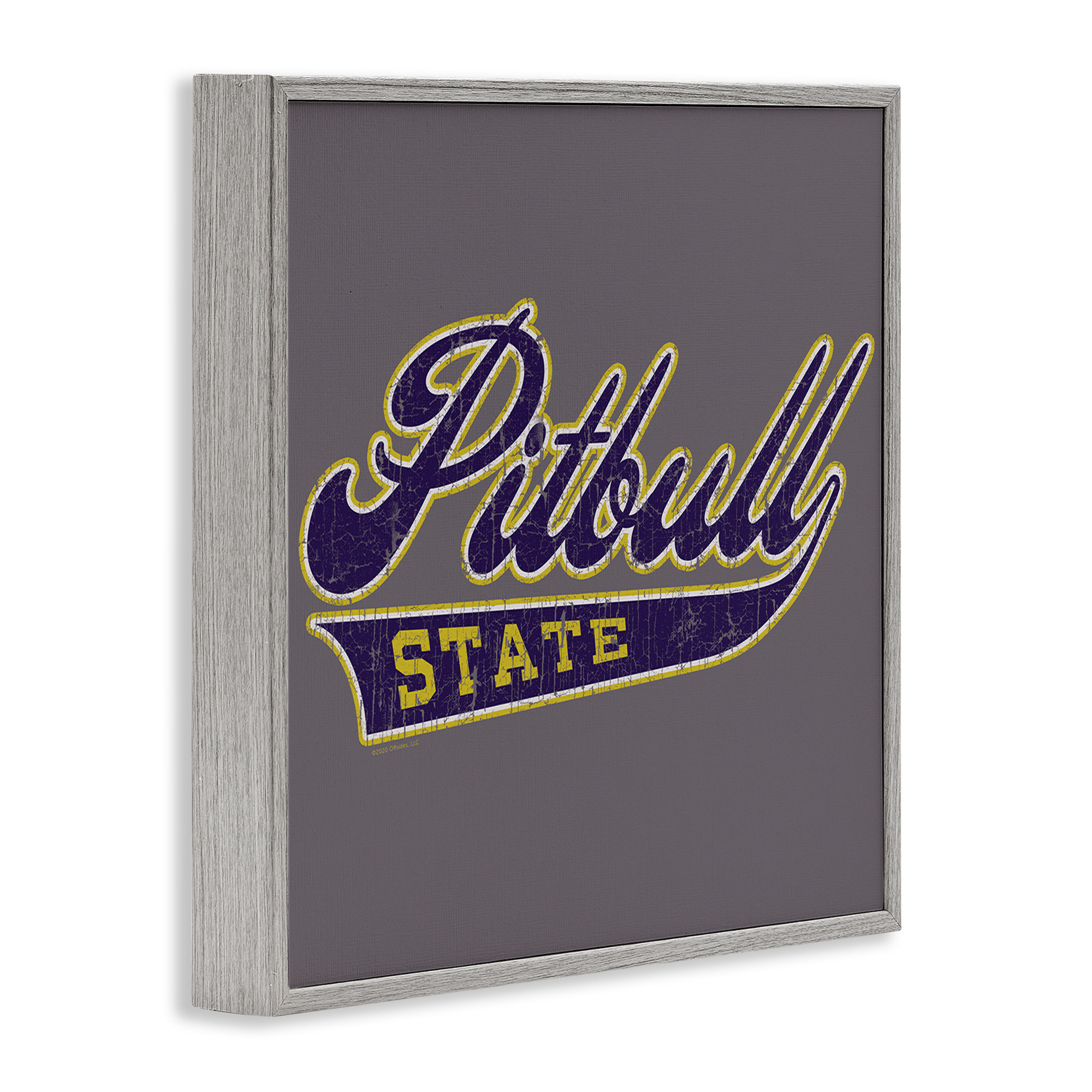 Ebern Designs Varsity Style Pitbull State Giclee Art by Spirit Animals ...