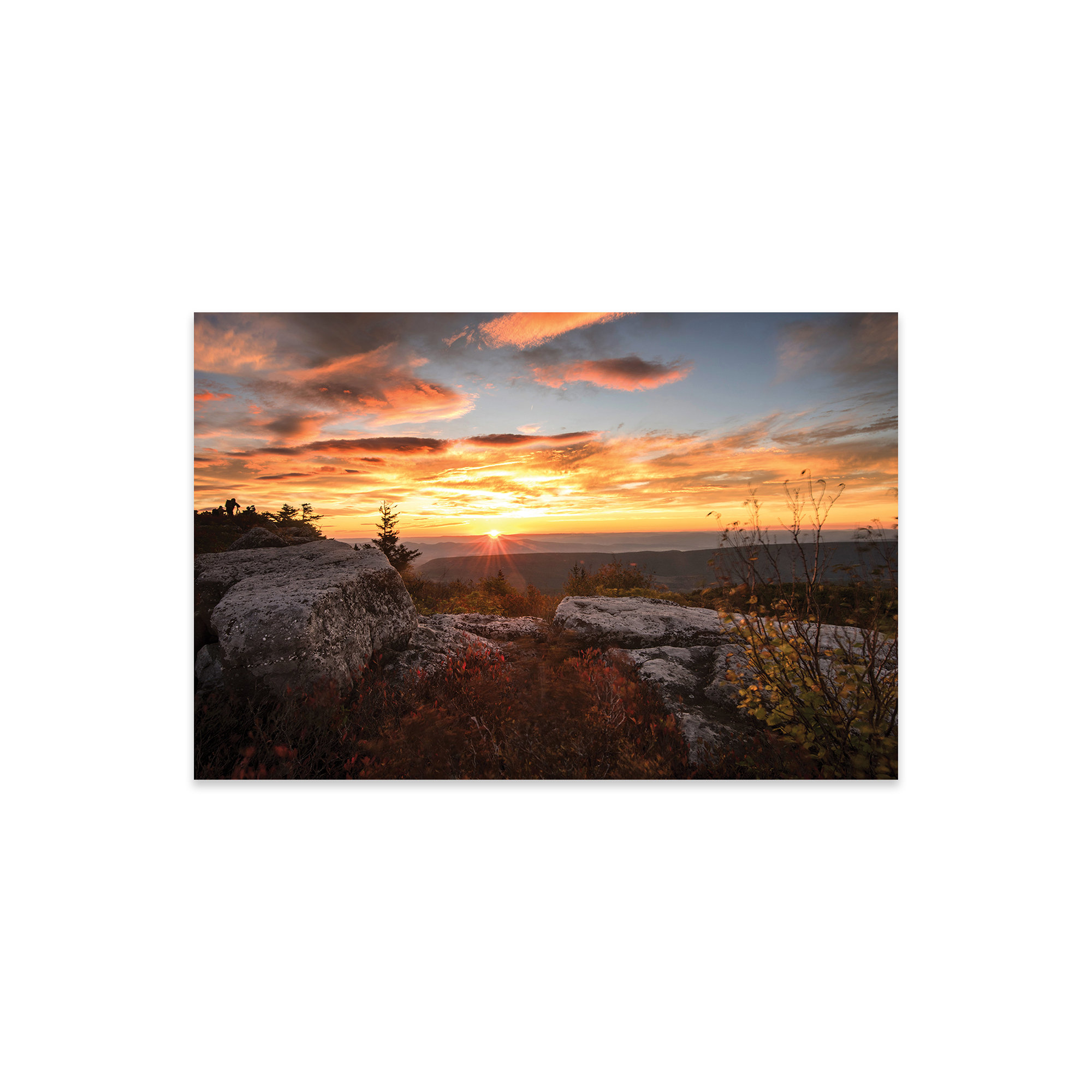 Ebern Designs Sunrise In Fall I On Plastic/Acrylic by Andy Amos ...