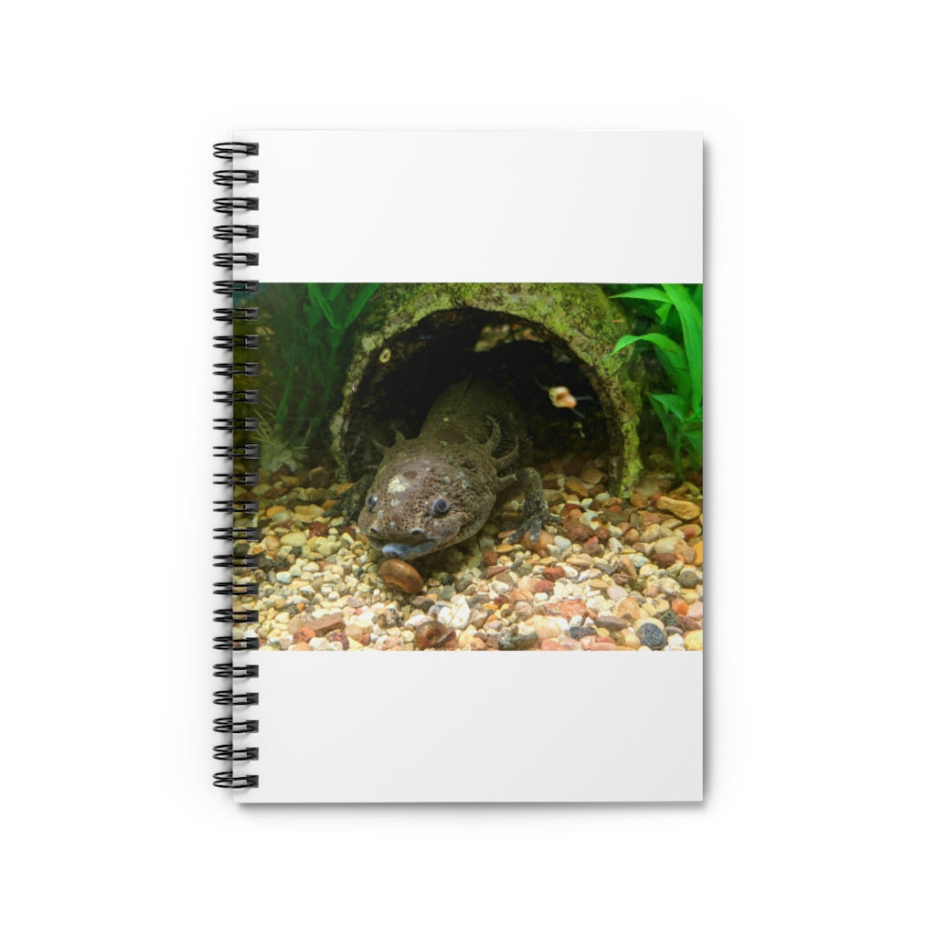 Marick Booster Axoltl Notebook | Wayfair