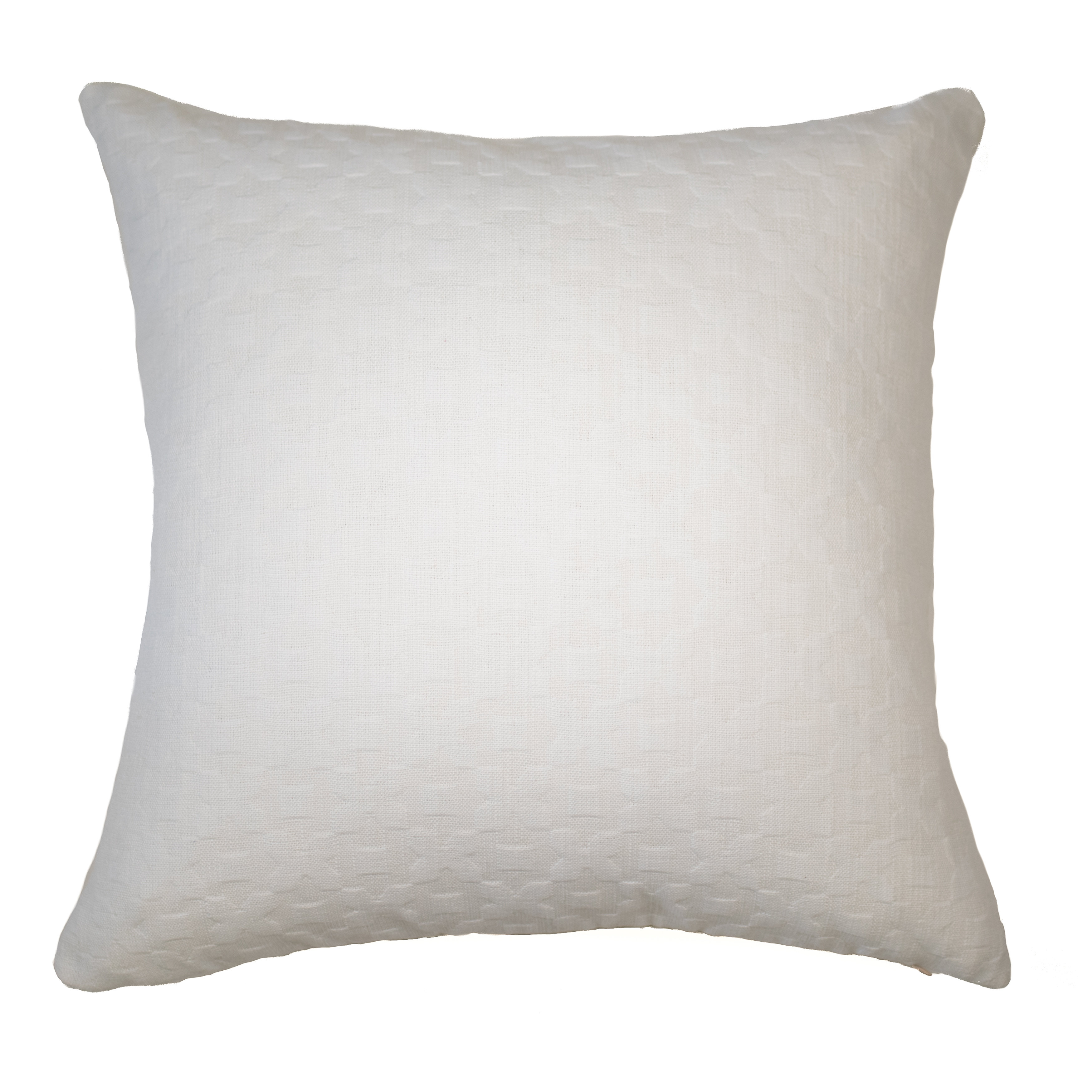 Daniel Design Studio Feathers Throw Pillow | Wayfair