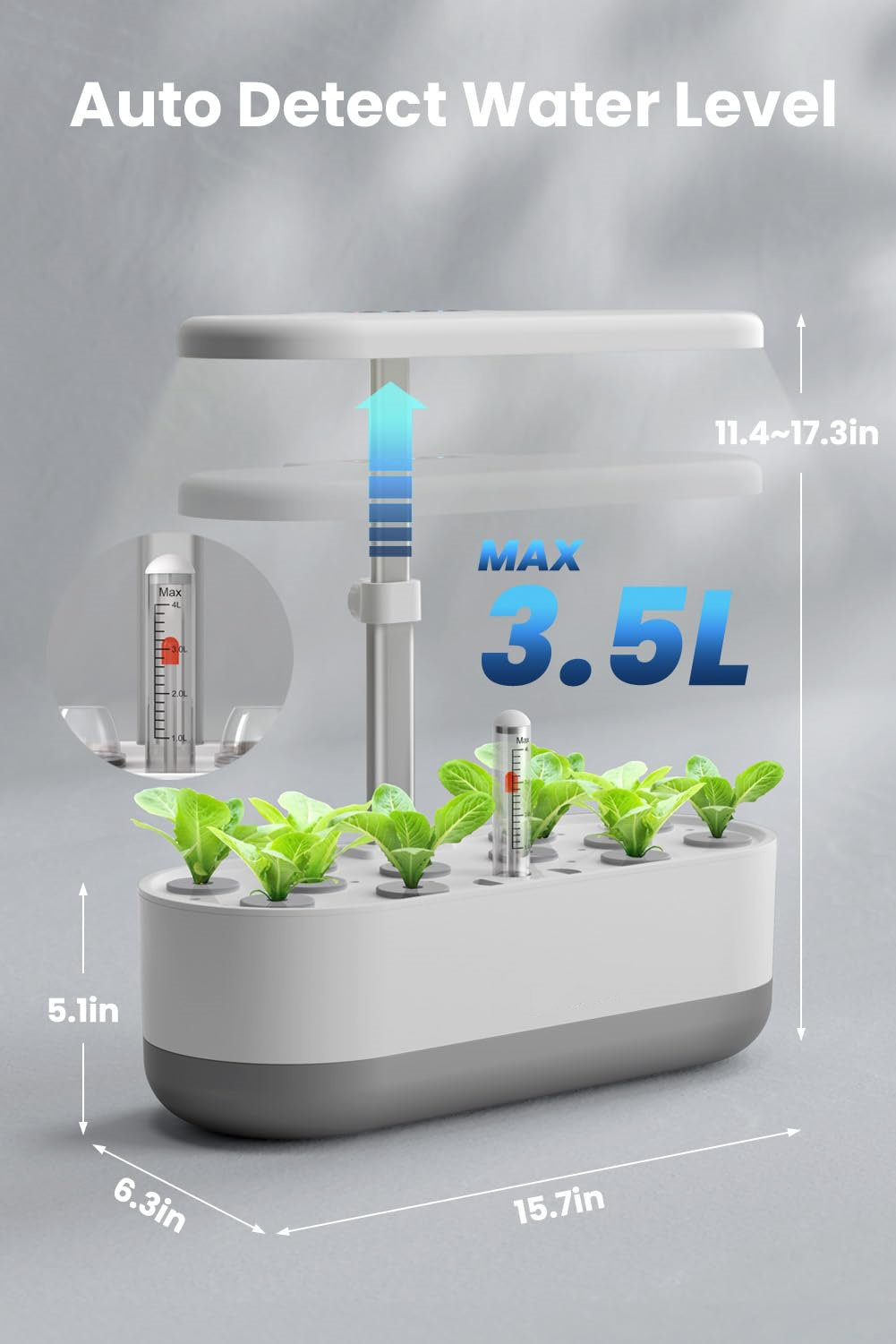 BEACHWATER POOL & SPA, LLC 12 Pods Hydroponics Growing System Indoor ...