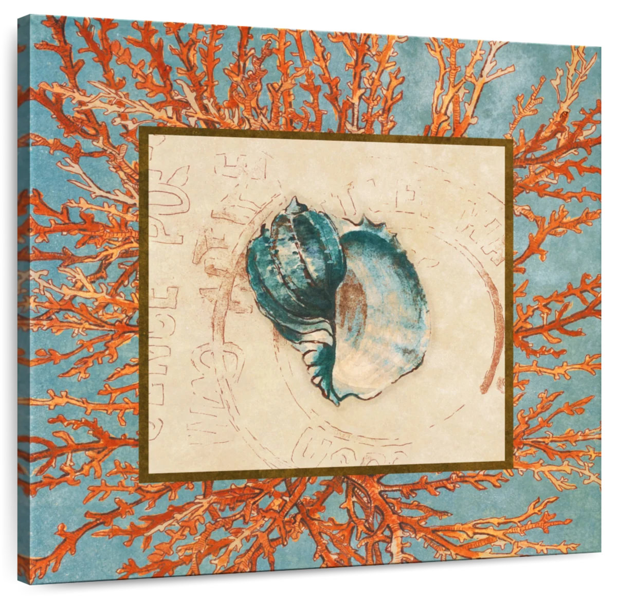 Elephant Stock Coral Medley Shell II | Wayfair