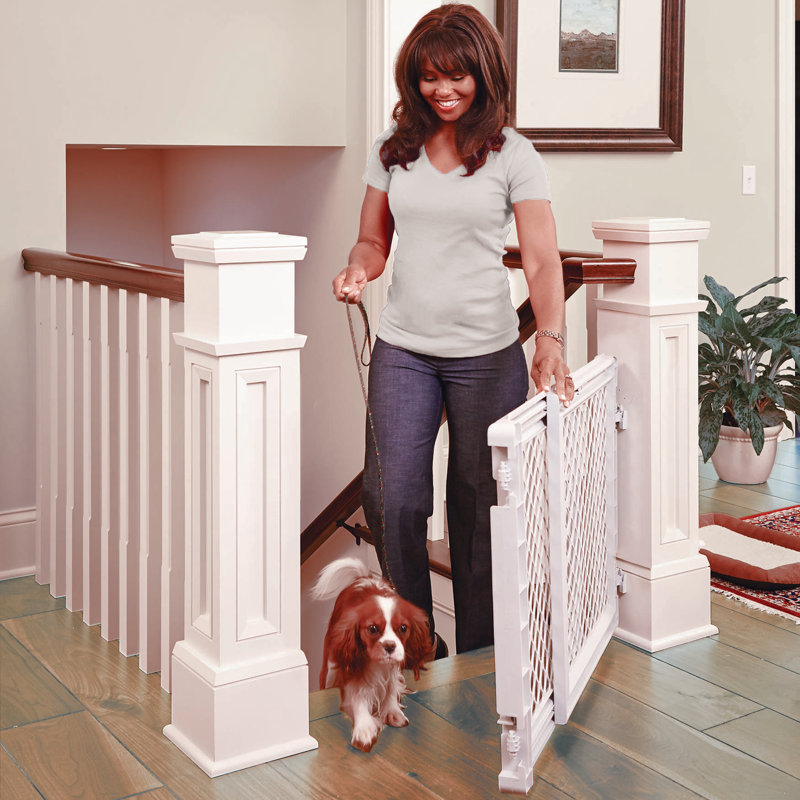 Toddleroo by North States Safety Gate & Reviews | Wayfair