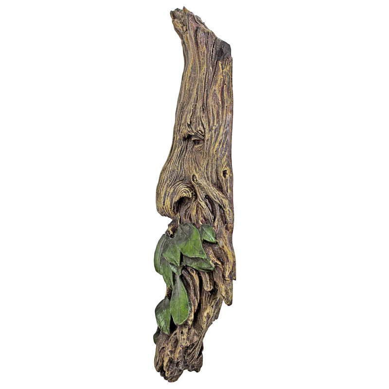 Design Toscano Faces In The Trees Tree Face Wall Decor & Reviews | Wayfair