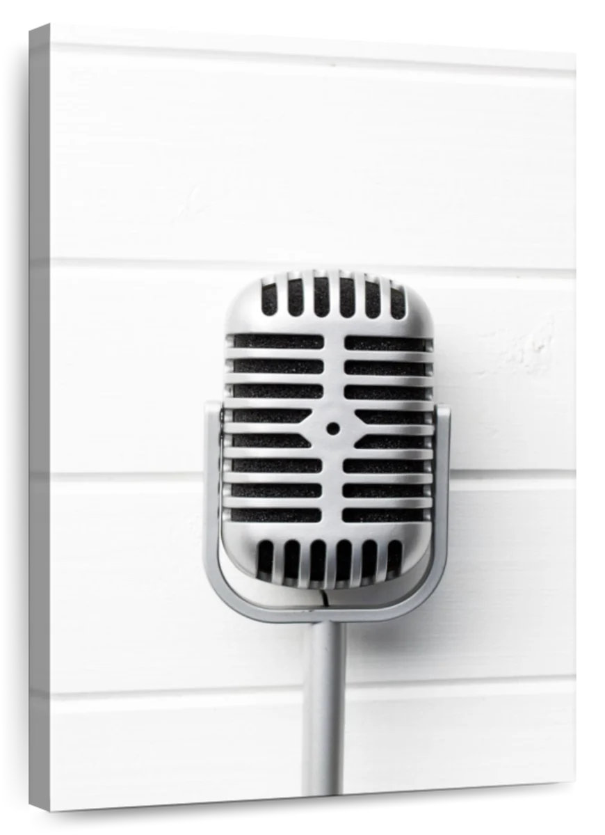 Elephant Stock Retro Stage Microphone | Wayfair