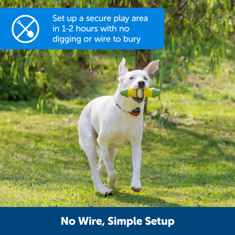 PetSafe® Stay + Play Wireless Fence Stubborn Dog Containment System ...