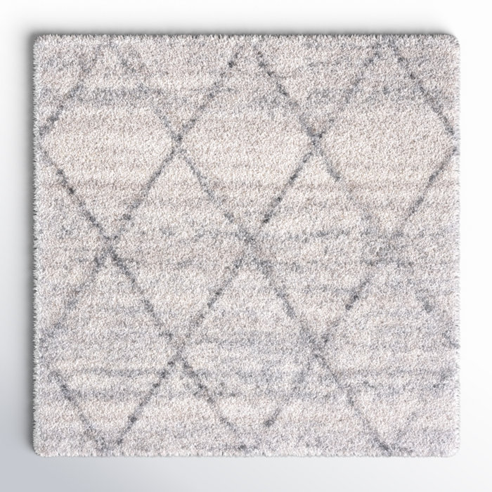 Sand & Stable Western Geometric Rug & Reviews | Wayfair