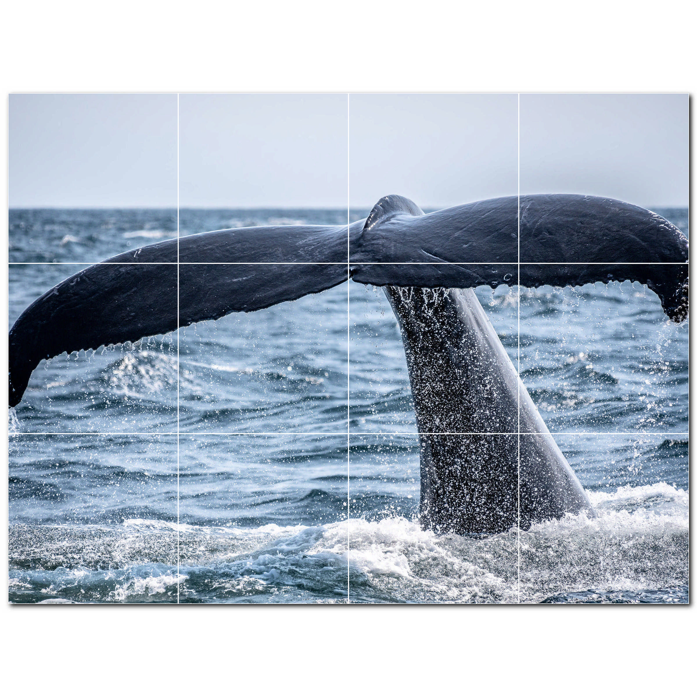 Picture-Tiles.com 48" x 36" Ceramic Whale Photo Decorative Mural Tile ...