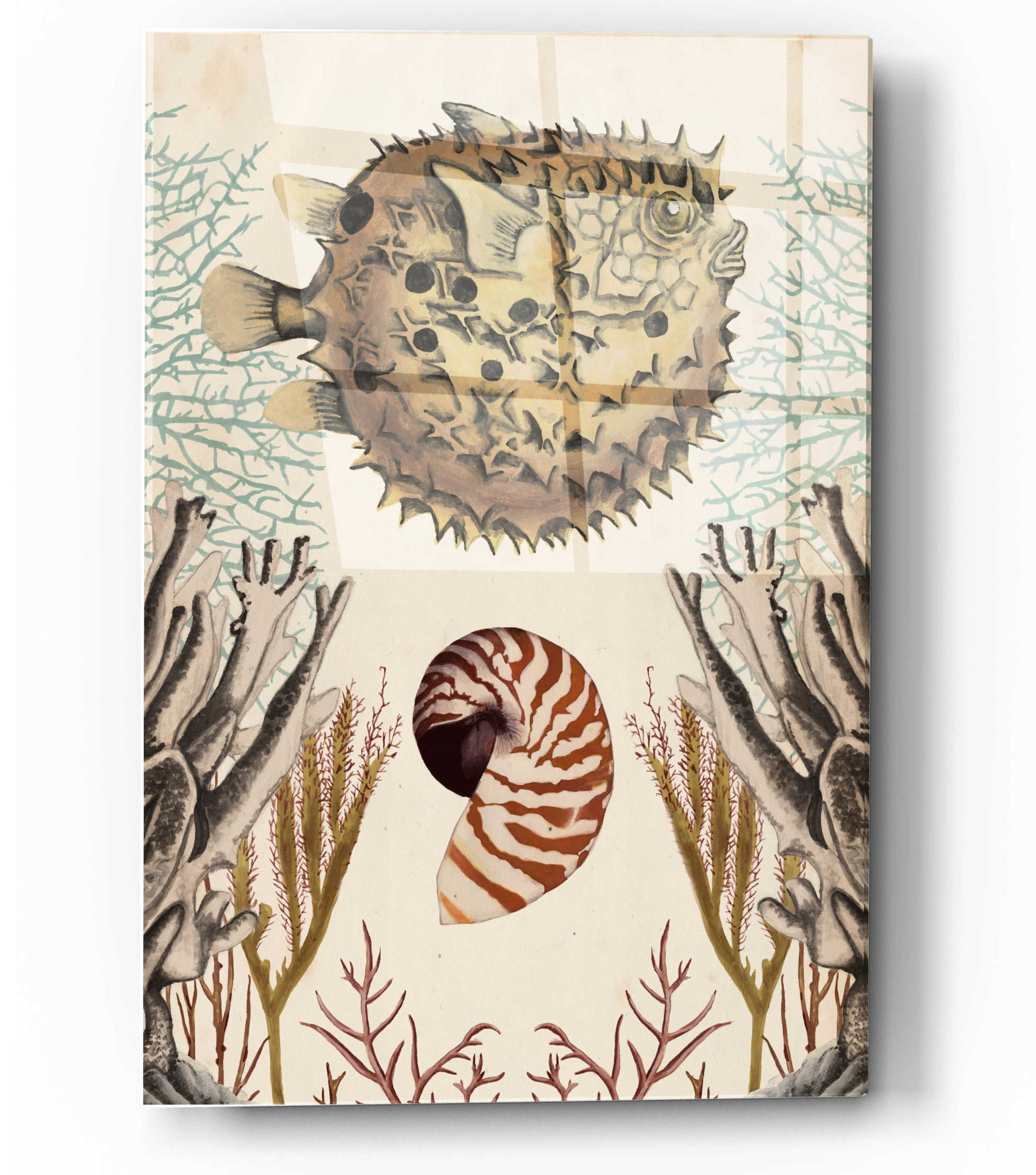 Epic Art 'Antiquarian Menagerie-Puffer Fish' by Naomi McCavitt, Acrylic ...