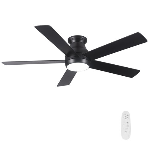 Indoor Ceiling Fans You'll Love