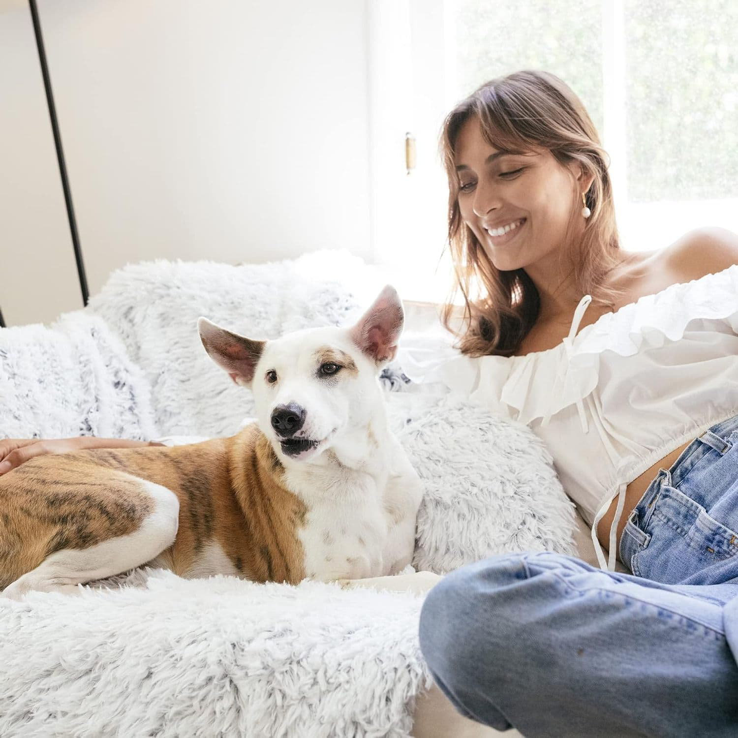 BOPWAY 30" x 40" Calming Shag Dog Blanket | Wayfair