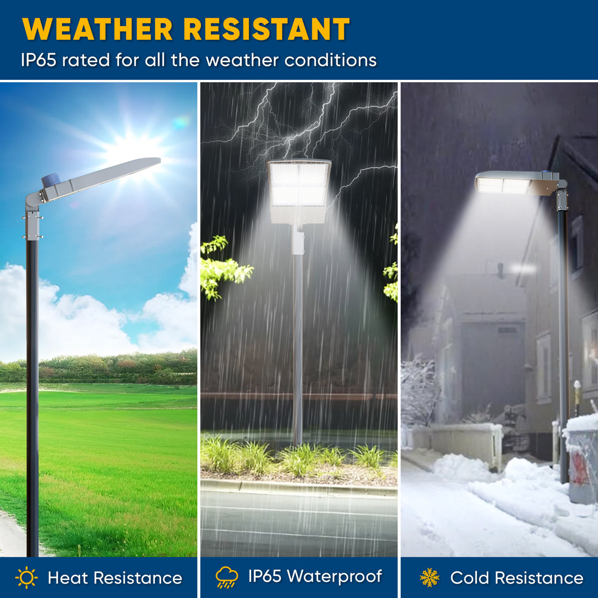 Wen Lighting LED Commercial Area Light, Waterproof Street Lighting for ...