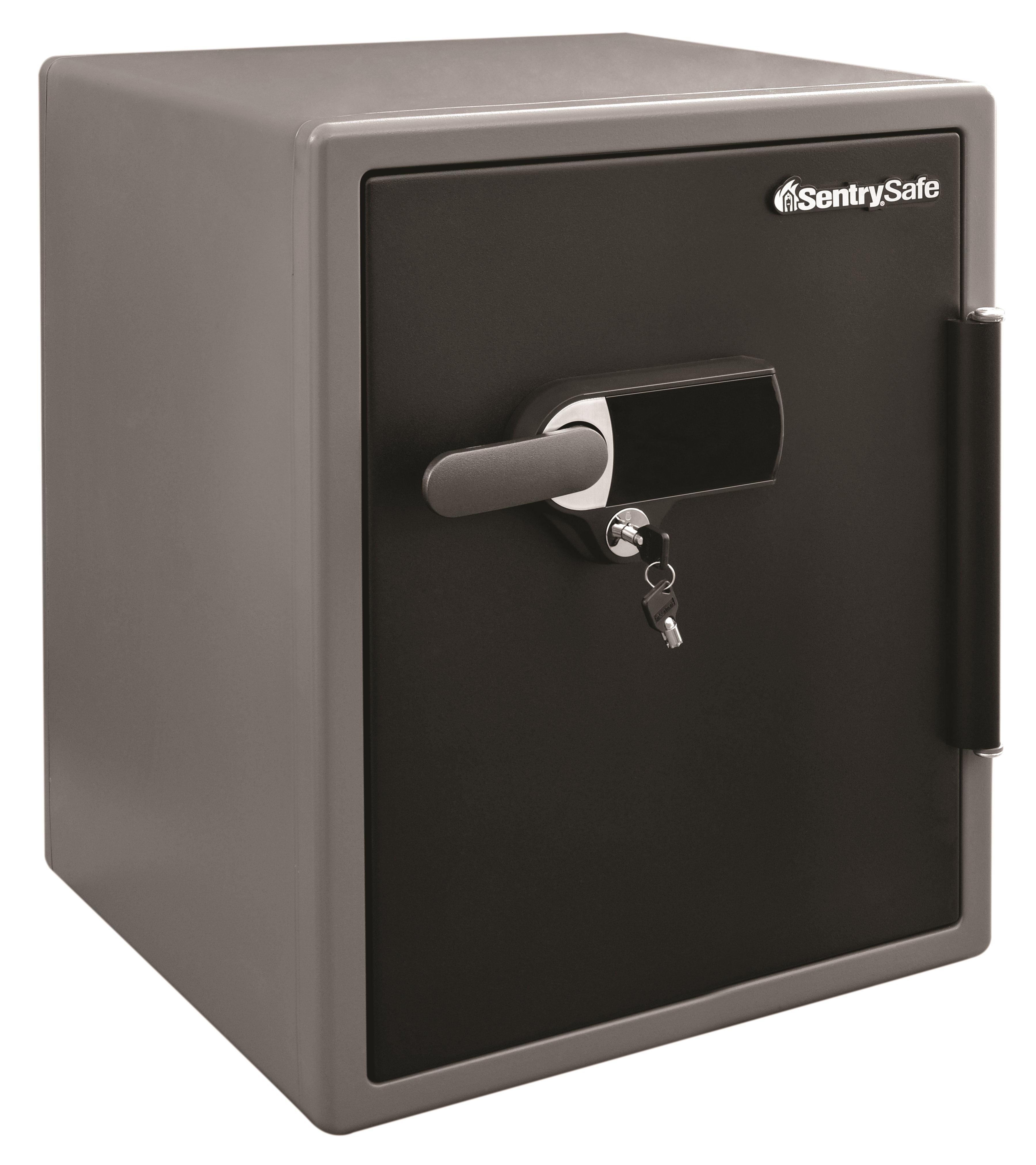 Sentry Safe Security Safe with Dual Lock & Reviews | Wayfair