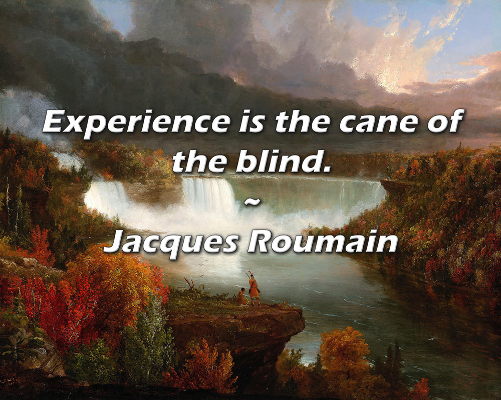Trinx Jacques Roumain Quote: Experience is the cane of the blind. | Wayfair