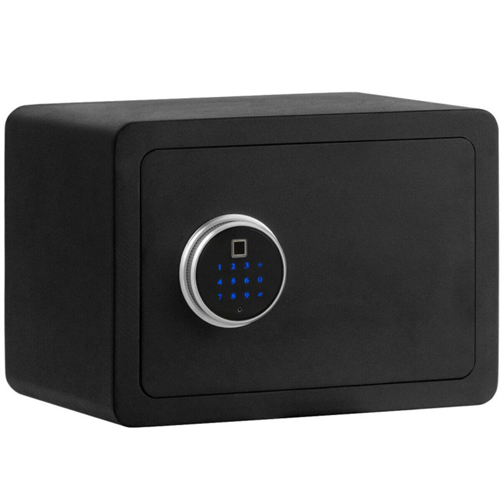 KJETHKEY Security Safe with Dual-Lock | Wayfair