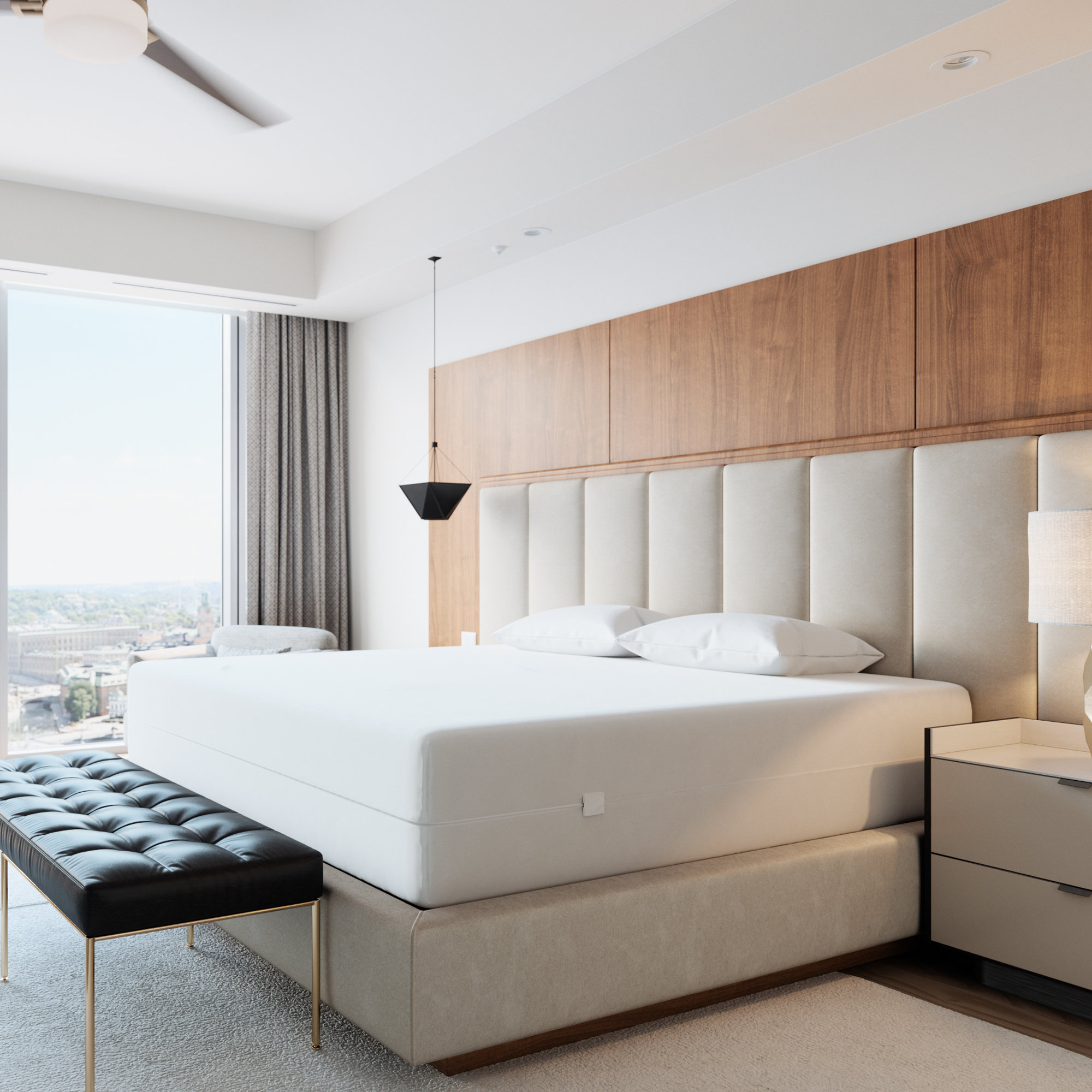 Bargoose Home Textiles Elite Bed Bug Proof, Dust Mite Proof, Waterproof ...