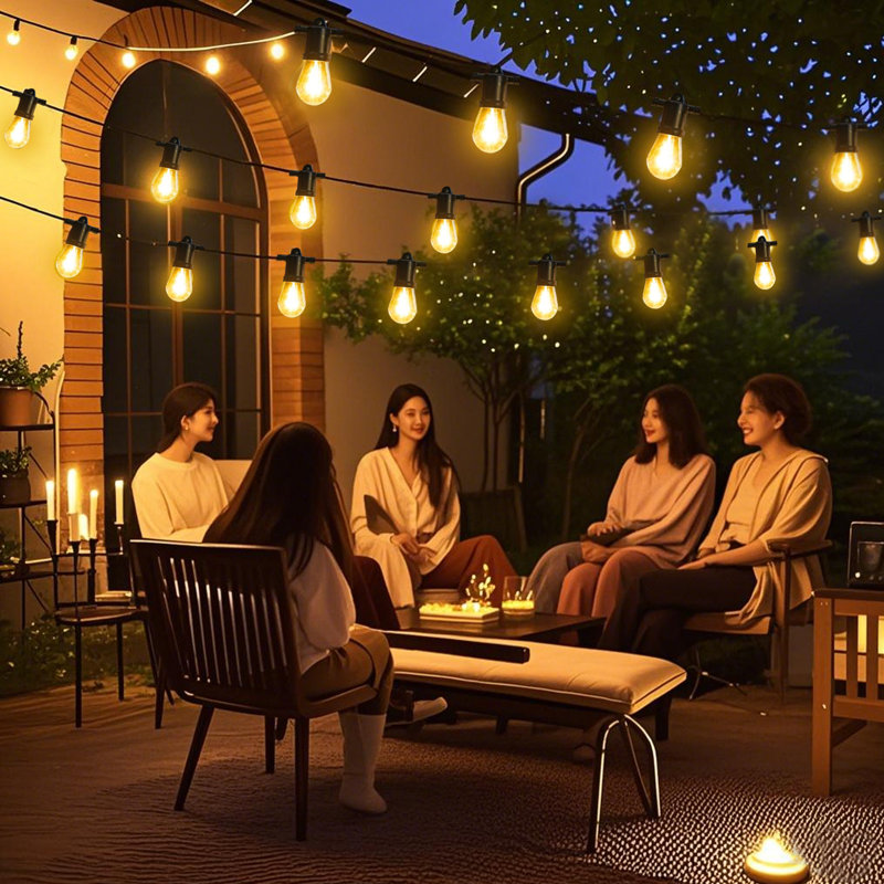 Arlmont & Co. Kanora LED Globe String Lights Outdoor Decorations 48FT ...