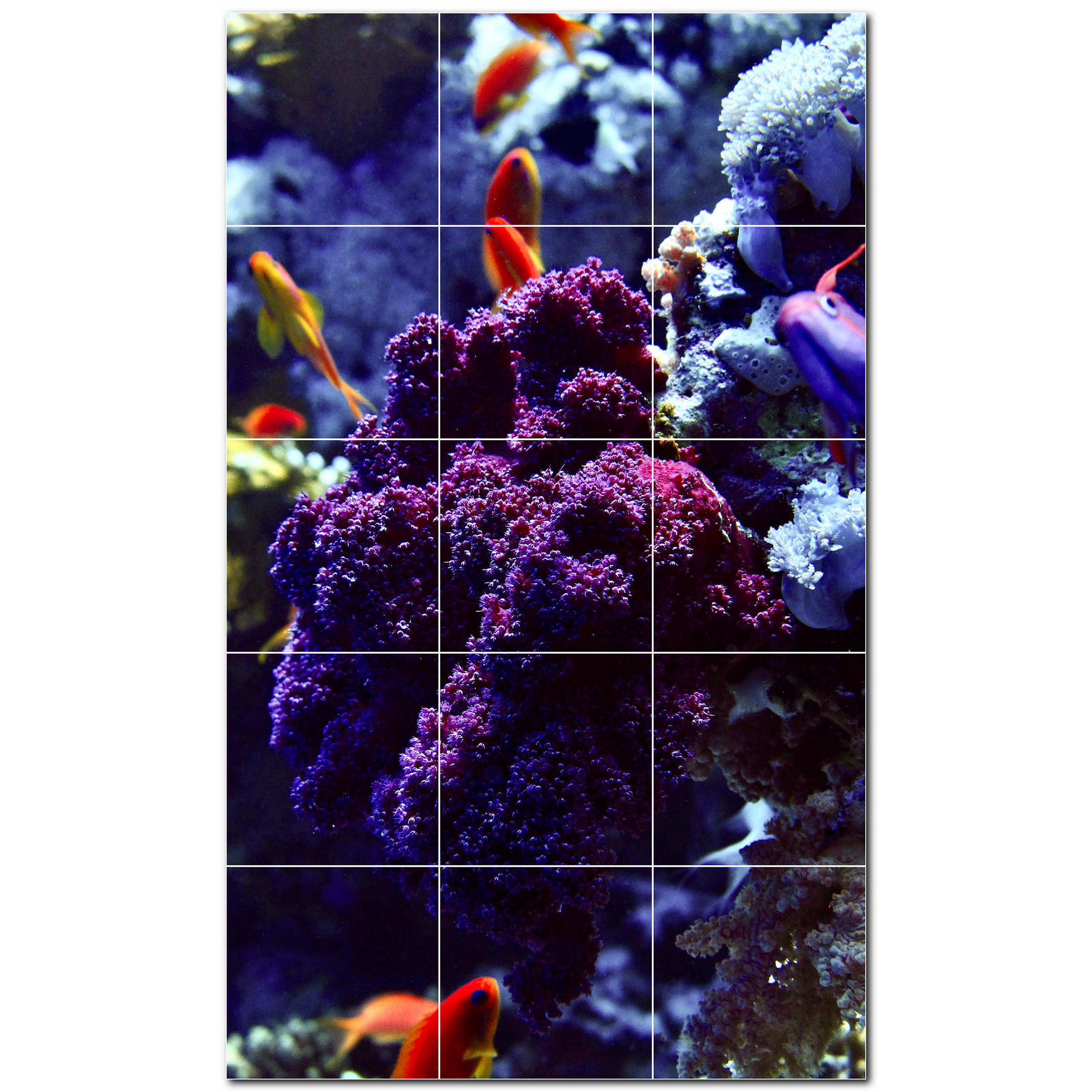 Picture-Tiles.com 24" x 40" Ceramic Coral Photo Decorative Mural Tile ...