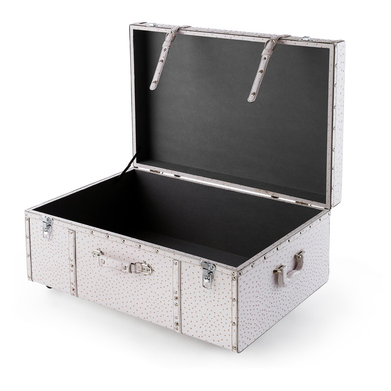 DormCo Texture Brand Trunk - Vibrant Aqua Ostrich | Wayfair