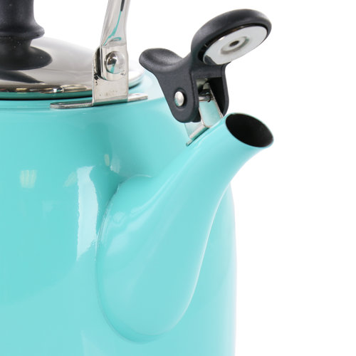 Martha Stewart 2.2 Quart Stainless Steel Tea Kettle in Teal & Reviews ...