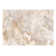 Wrought Studio Jinsu Peel & Stick Wall Mural | Wayfair