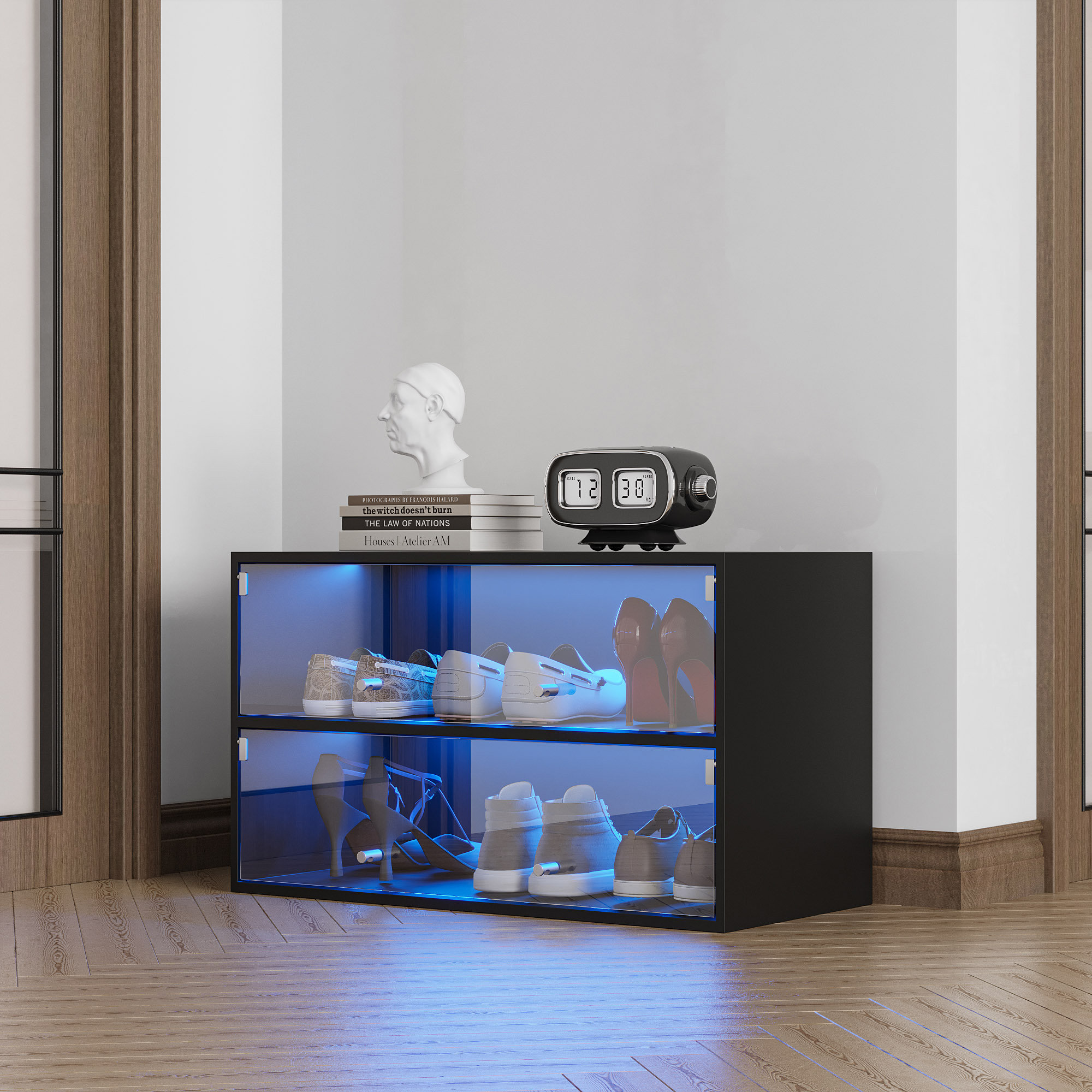 Wrought Studio™ Black Glass Door Shoe Box Shoe Storage Cabinet With RGB ...