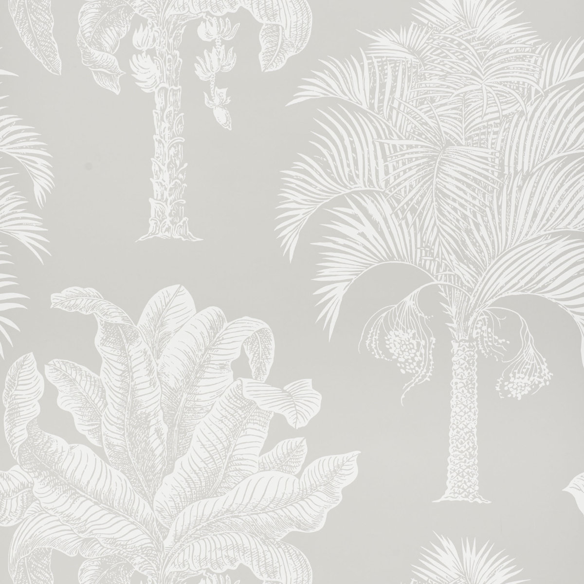 Schumacher Grand Palms Wallpaper & Reviews | Perigold
