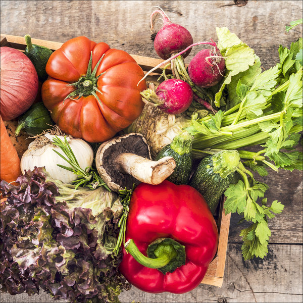 Brambly Cottage Vegetables II - No Frame Art Prints on Float Glass ...