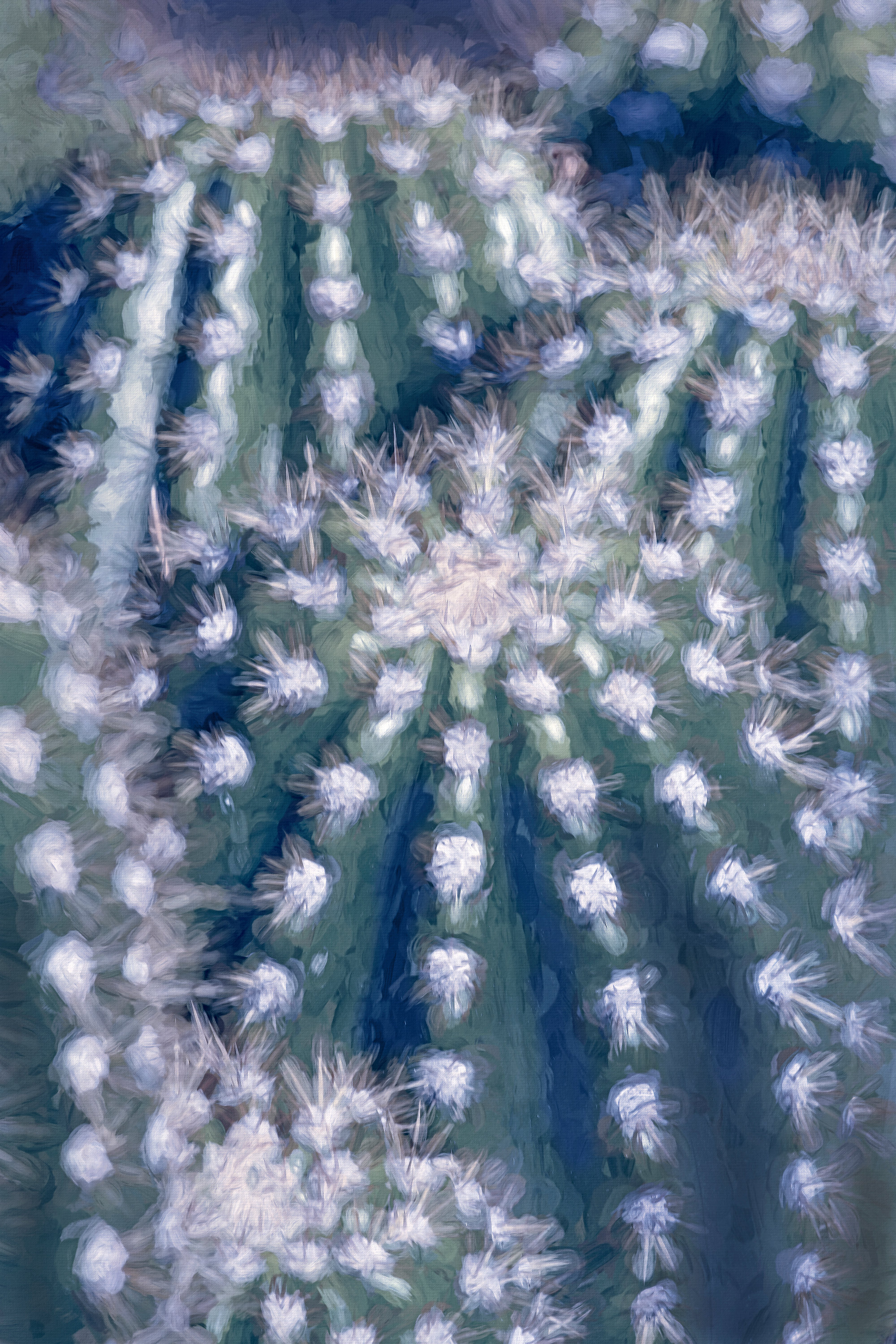 Union Rustic Hedgehog Cacti Collective On Canvas by Leda Robertson ...