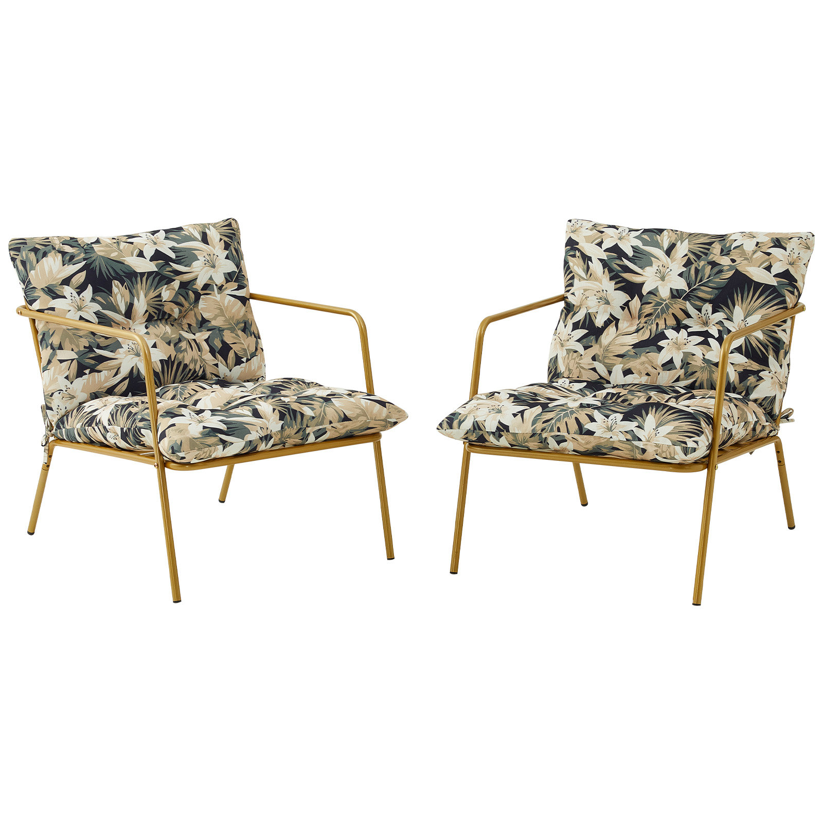 Latitude Run® Mobile Simple Wrought Iron Leisure Chair (Set of 2) | Wayfair